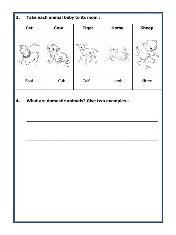 Animal Kingdom Worksheets