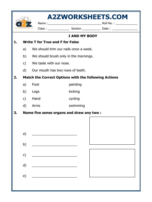 A2Zworksheets:Worksheet of I And My Body-Humans-Science