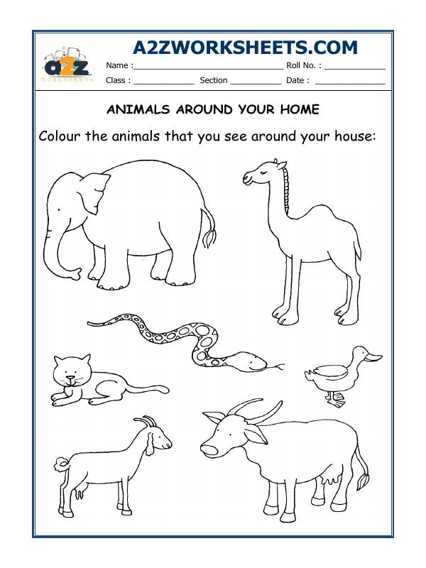A2Zworksheets:Worksheet of Worksheet-06-Animals Around Your Home ...