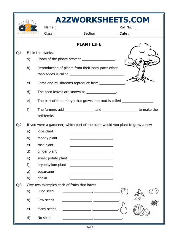 A2Zworksheets:Worksheet of Plant Life-Plants and Living Organisms-Science