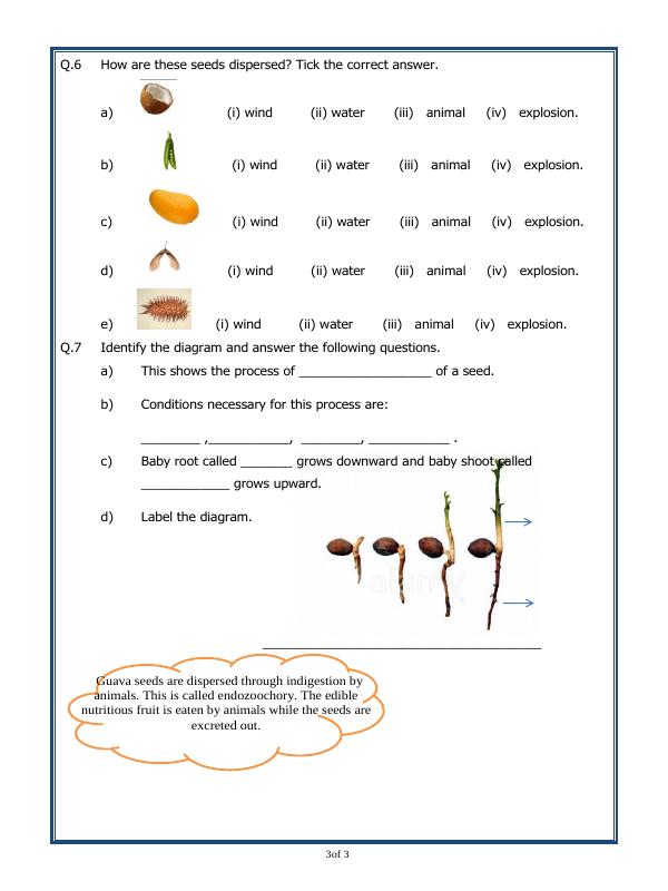 5th Grade Free Printable Science Worksheets