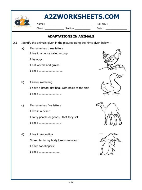 A2Zworksheets:Worksheet of Adaptations In Animals-Animals-Science