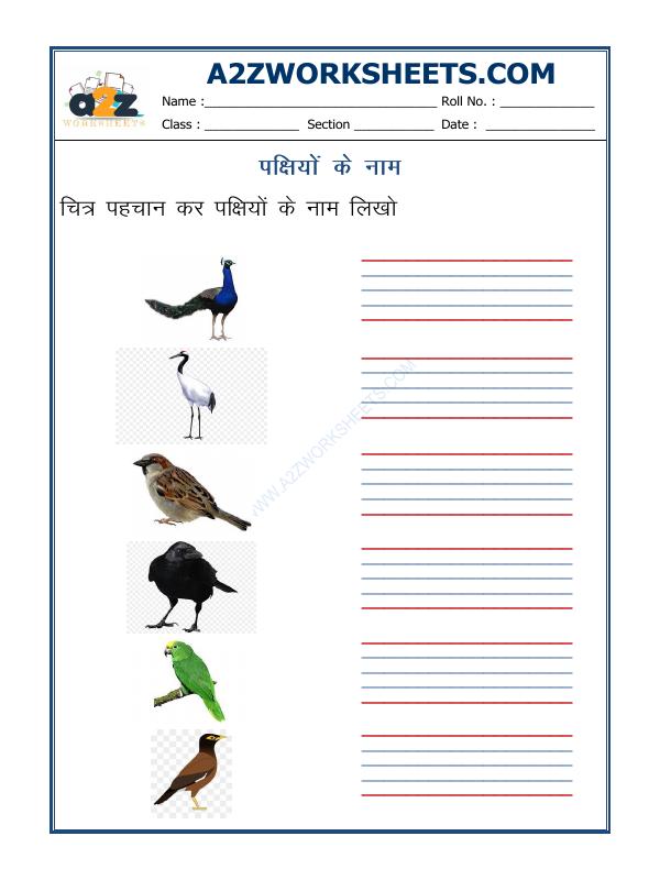A2Zworksheets:Worksheet of Hindi - Name Of Birds In Hindi (पक्षियों के ...