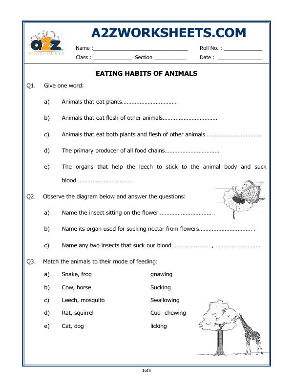 A2Zworksheets:Worksheet of Eating Habits Of Animals-Animals-Science