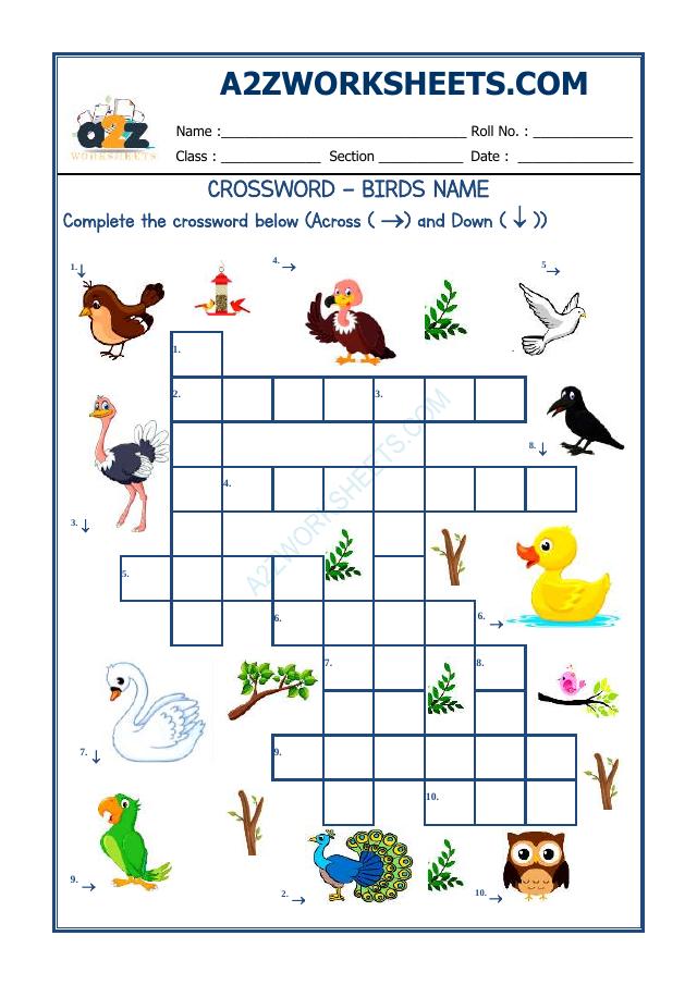 A2Zworksheets:Worksheet of Cross Word -Birds Name-Reading-English