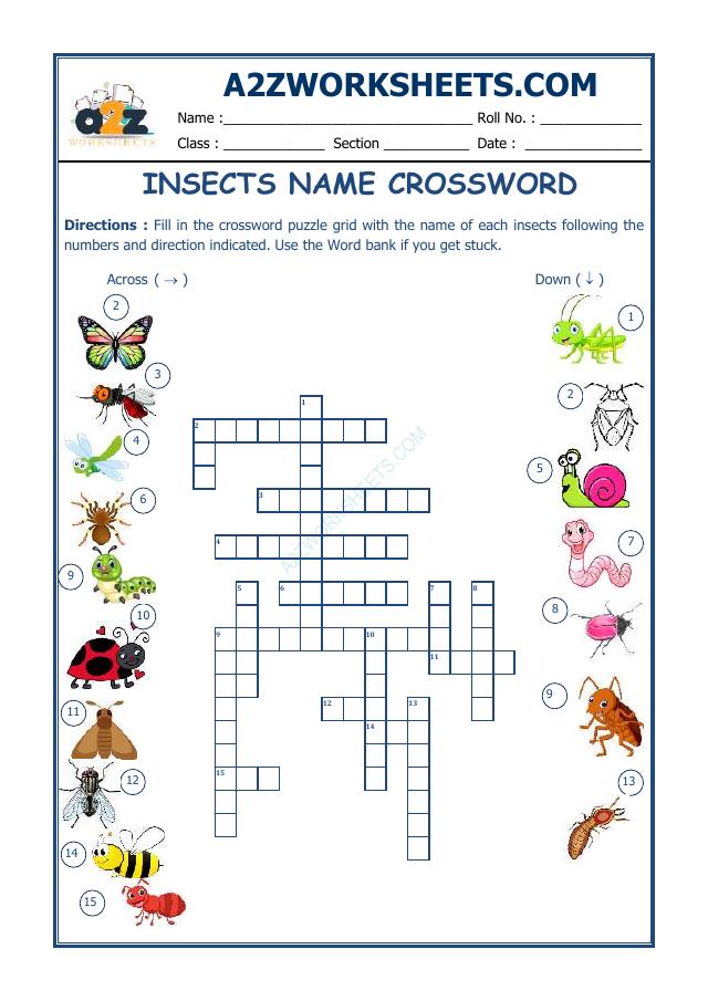A2Zworksheets:Worksheet of Crossword-Insects Name-Reading-English