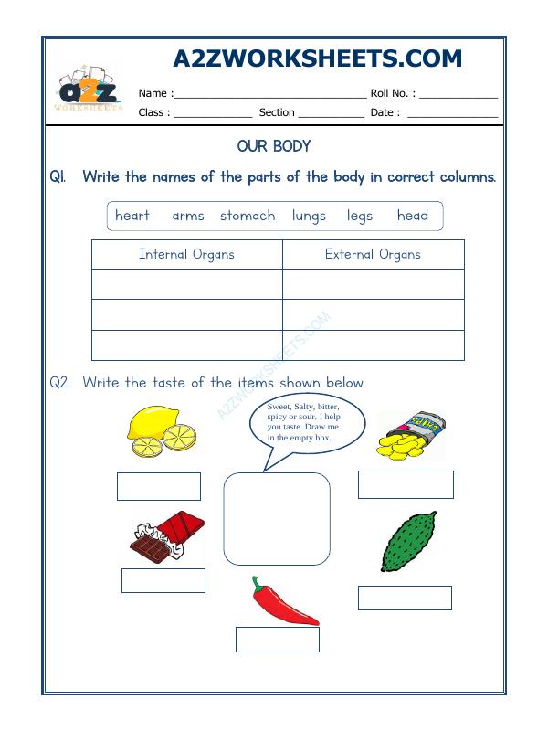 A2Zworksheets:Worksheet of Our Body-01-Humans-Science