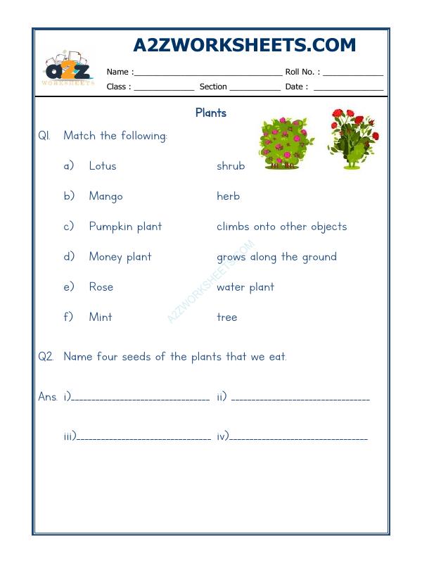 A2Zworksheets:Worksheet of Plants-02-Plants and Living Organisms-Science