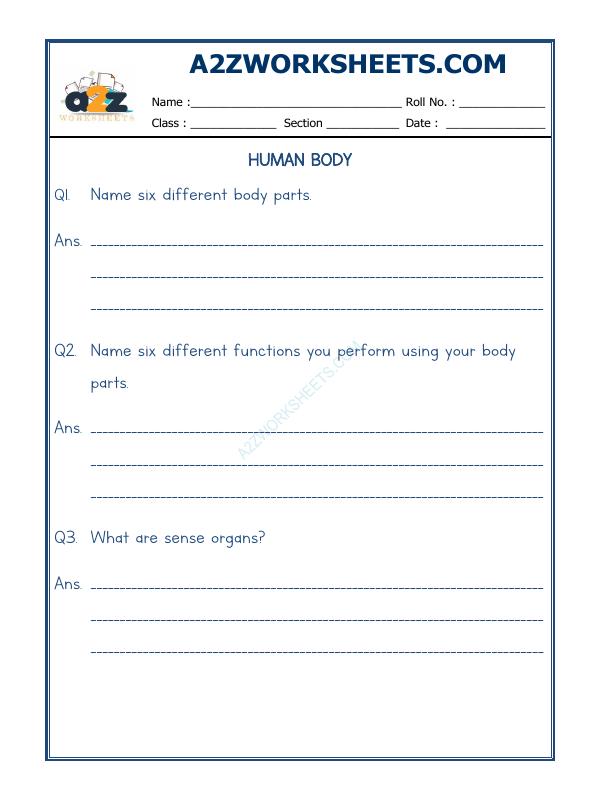 A2Zworksheets:Worksheet of Human Body-01-Humans-Science