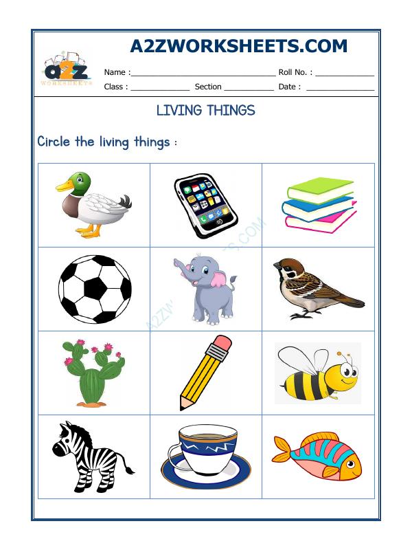 A2Zworksheets:Worksheet of Living Things-01-Plants and Living Organisms ...