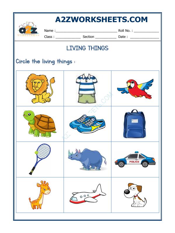 A2Zworksheets:Worksheet of Living Things-03-Plants and Living Organisms ...