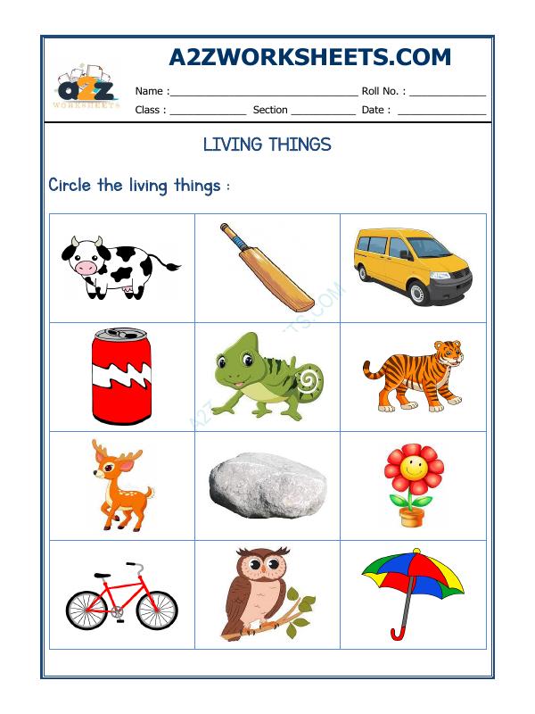 A2Zworksheets:Worksheet of Living Things-04-Plants and Living Organisms ...