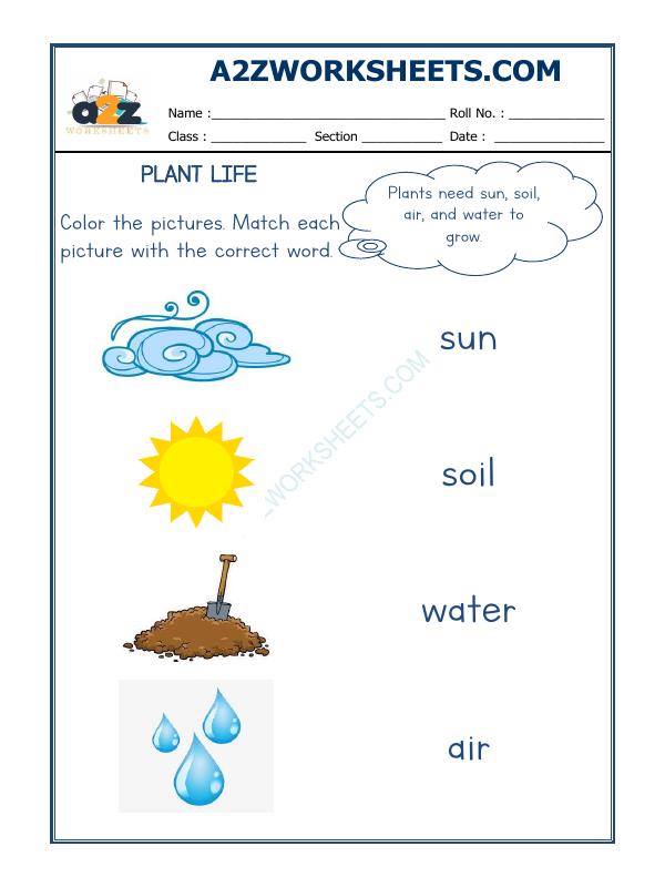 A2Zworksheets:Worksheet of Plants Life-01-Plants and Living Organisms ...