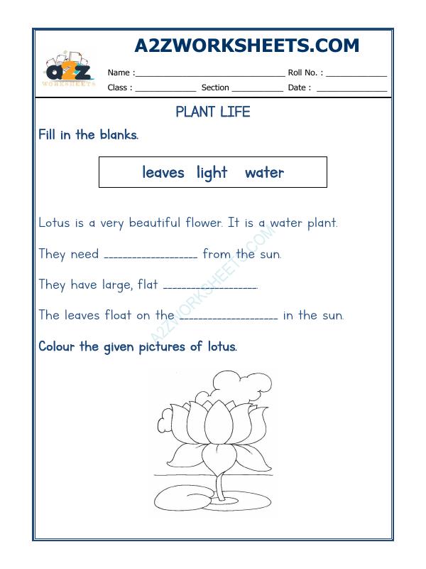 A2Zworksheets:Worksheet of Plants Life-04-Plants and Living Organisms ...