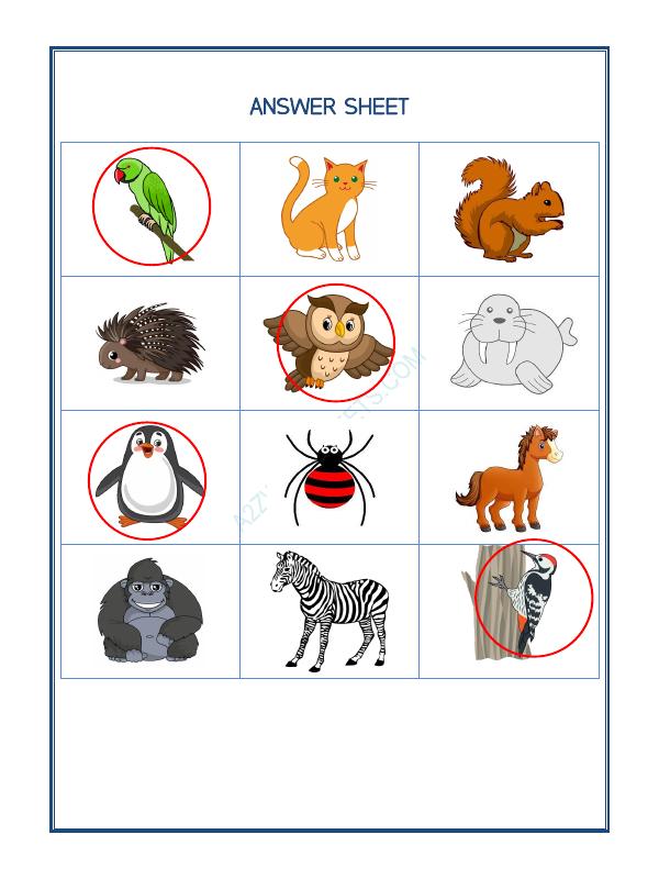 Animal Classification Worksheet Ks2