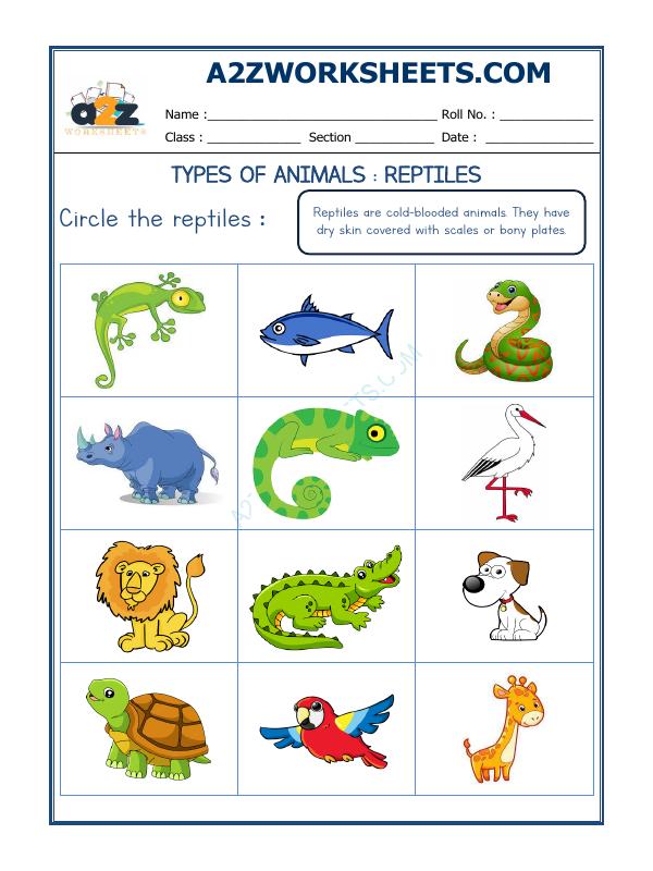 A2Zworksheets:Worksheet of Animal Classification-05-Animals-Science