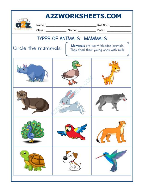 A2Zworksheets:Worksheet of Animal Classification-06-Animals-Science