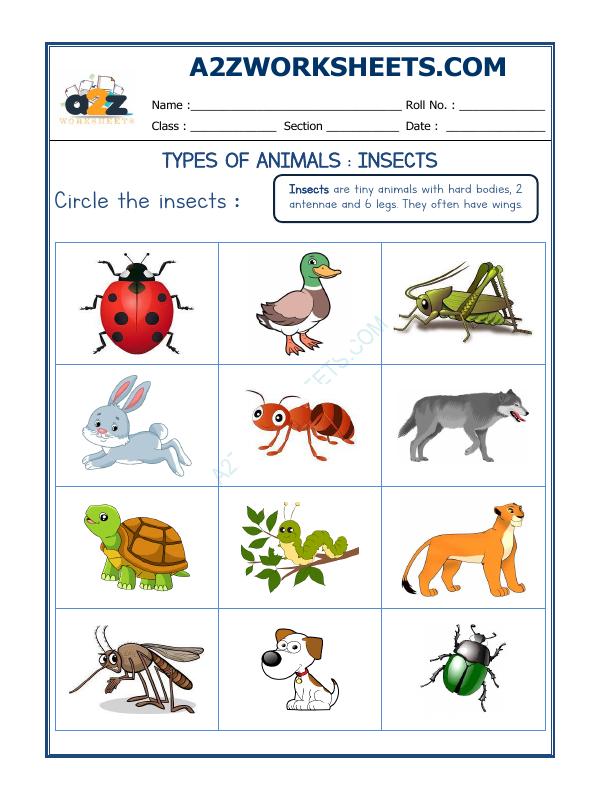 A2Zworksheets:Worksheet of Animal Classification-07-Animals-Science
