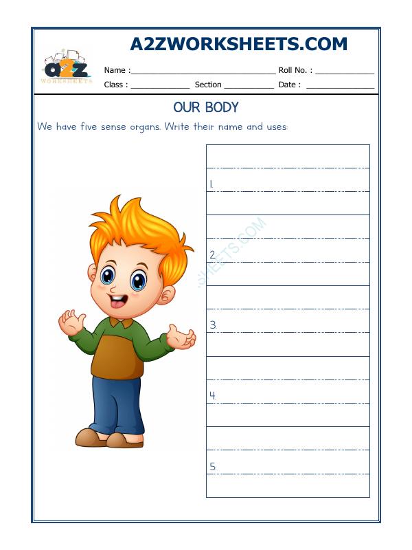 A2Zworksheets:Worksheet of Our Body-02-Humans-Science
