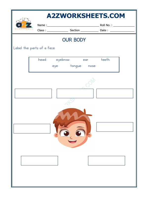 A2Zworksheets:Worksheet of Our Body-03-Humans-Science