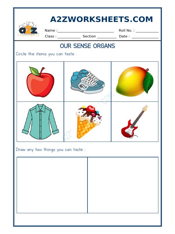 A2Zworksheets:Worksheet of Our Sense Organs-01-Humans-Science