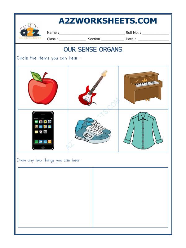 A2Zworksheets:Worksheet of Our Sense Organs-02-Humans-Science