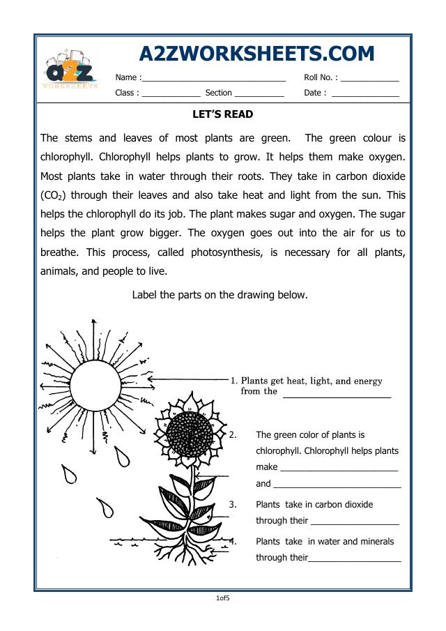 A2Zworksheets:Worksheet of Plants-02-Plants and Living Organisms-Science