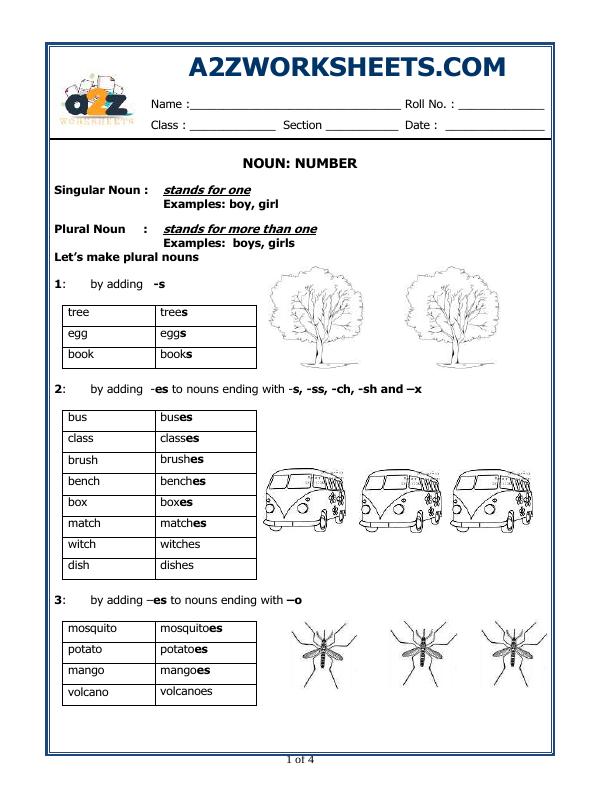 A2Zworksheets:Worksheet of Noun Number-Grammar-English