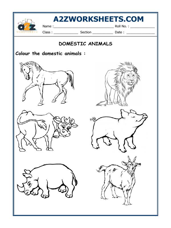 A2Zworksheets:Worksheet of Domestic Animals-Animals-Science