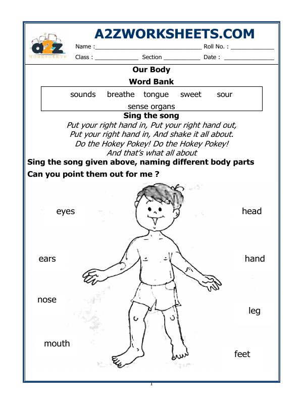 A2Zworksheets:Worksheet of Class-I-Our Body-Humans-Science
